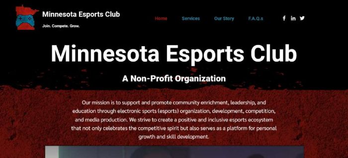 29 Top Esports Website Design Examples