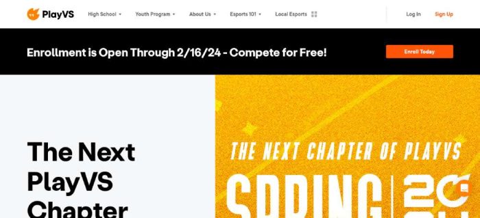 29 Top Esports Website Design Examples