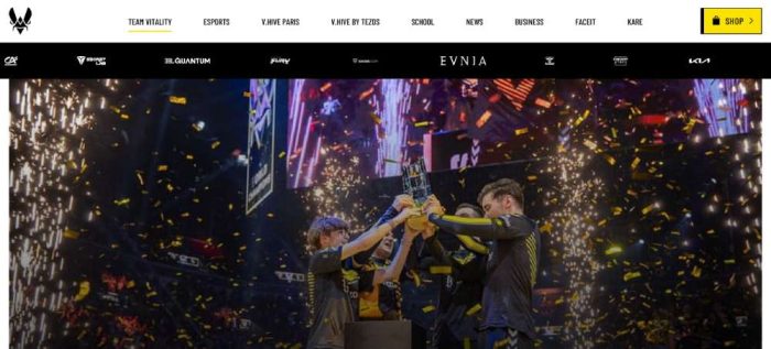 29 Top Esports Website Design Examples