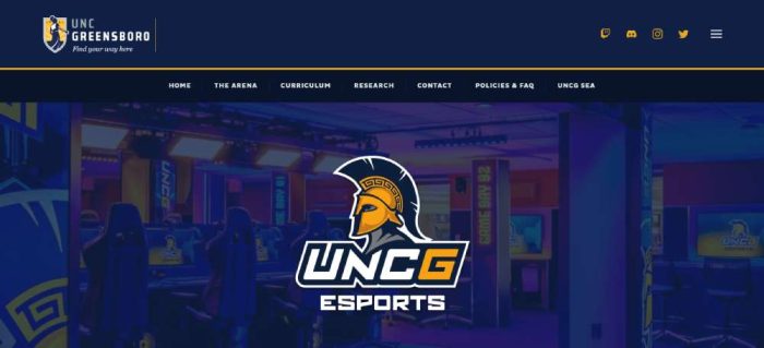 29 Top Esports Website Design Examples