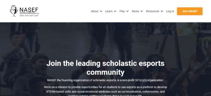 29 Top Esports Website Design Examples
