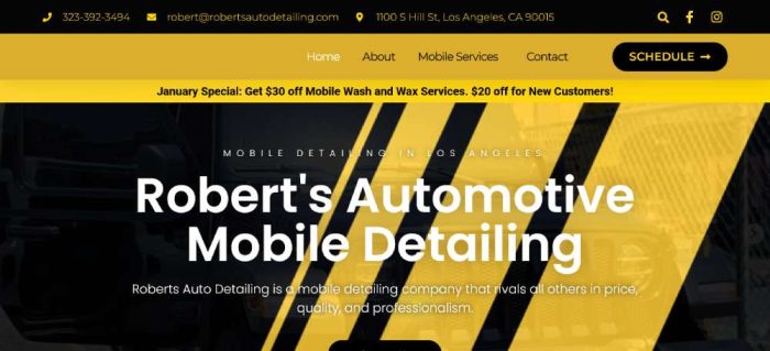 Stunning Car Detailing Website Designs to Inspire You